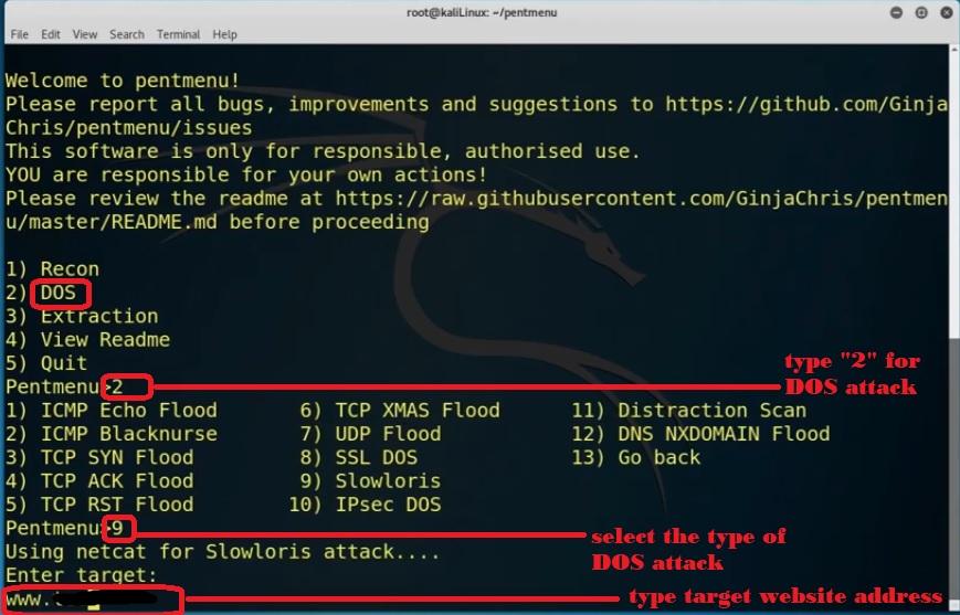 HOW HACKERS EXECUTING DENIAL OF SERVICE (DOS) attack - Techies Vibe